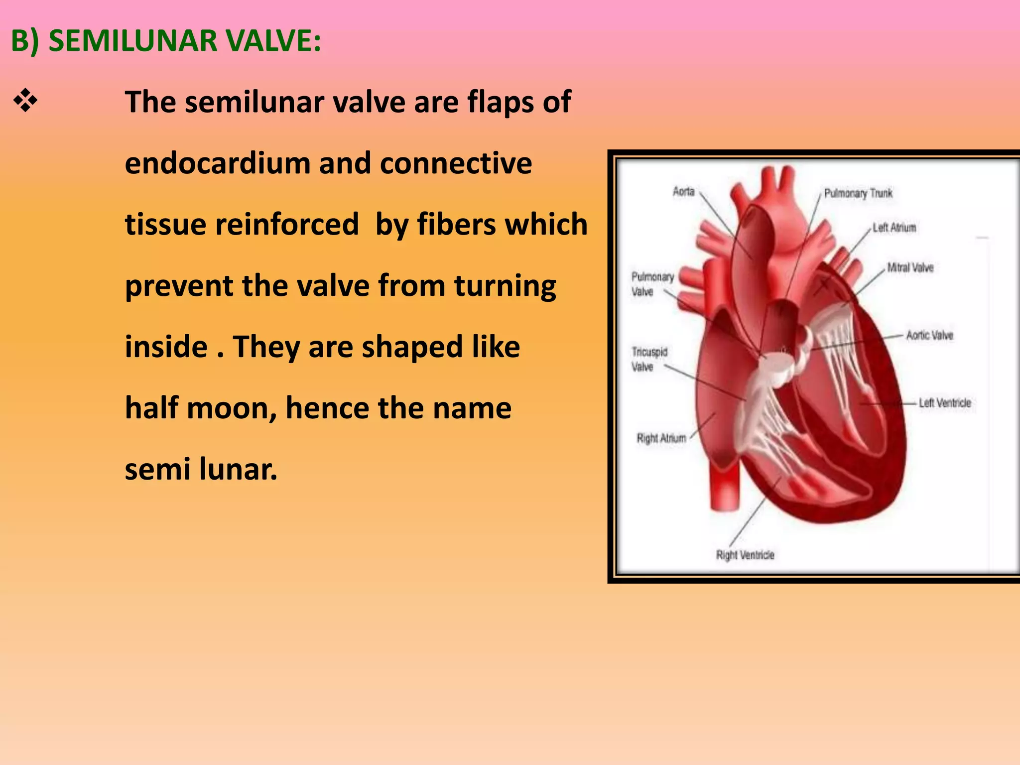 Heart and its disease | PPTX