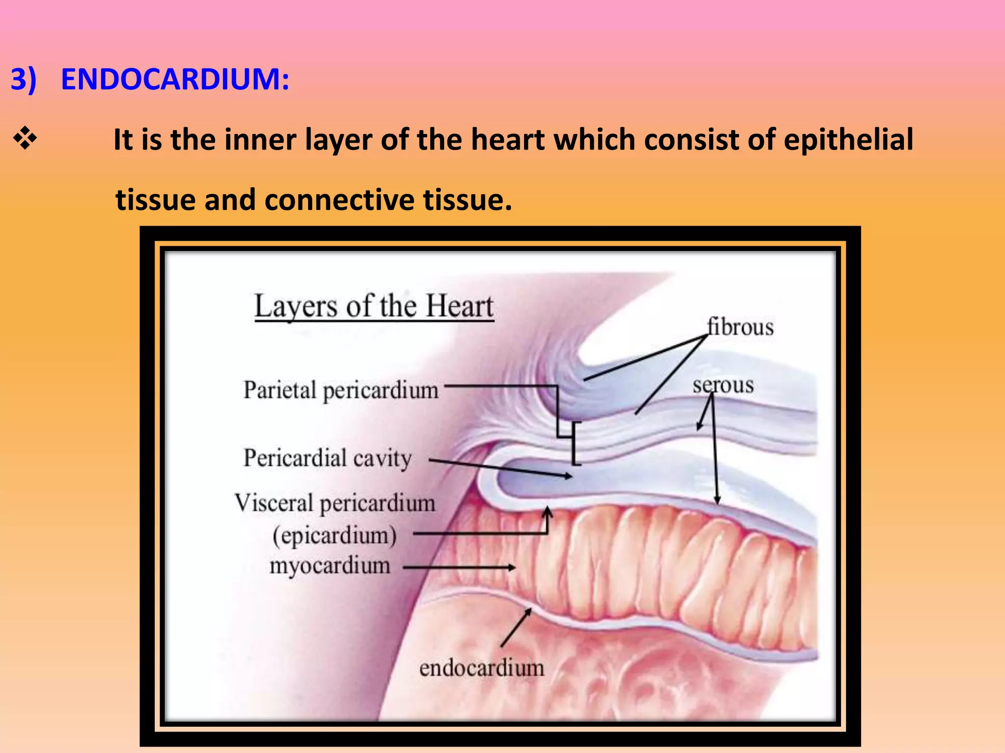 Heart and its disease | PPTX