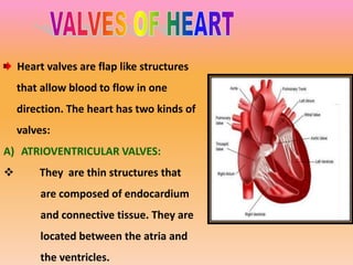 Heart and its disease | PPTX