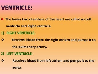 Heart and its disease | PPTX