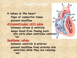 Heart | PPT | Heart and Cardiovascular Diseases | Diseases and Conditions