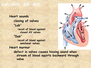 Heart | PPT | Heart and Cardiovascular Diseases | Diseases and Conditions