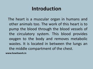 How does the human heart works? | PPTX