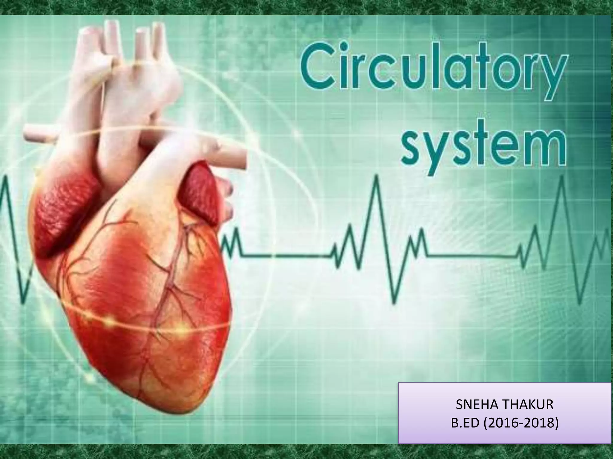human heart-structure and function | PPT