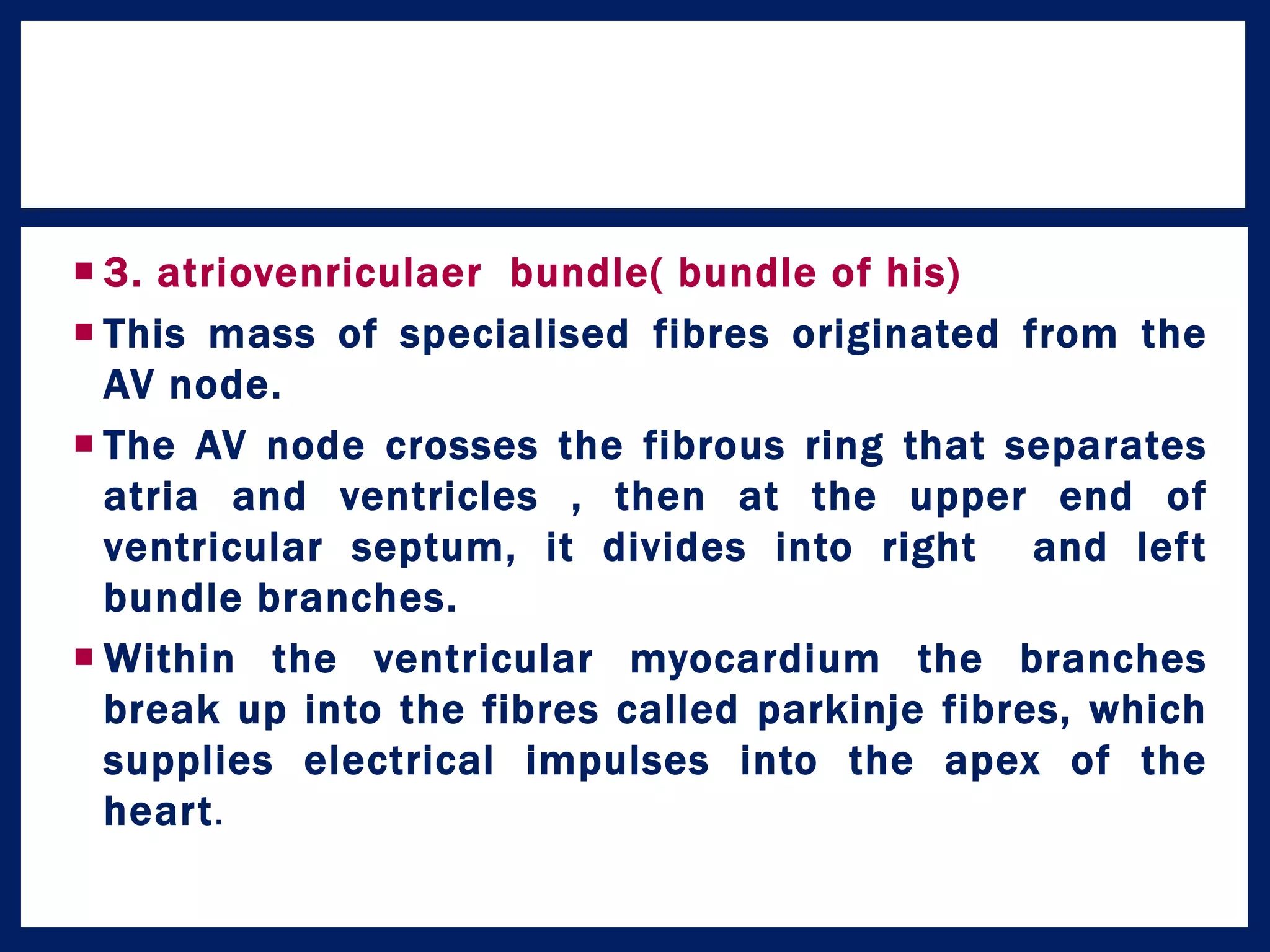 ANATOMY AND PHYSIOLOGY OF HEART | PPTX