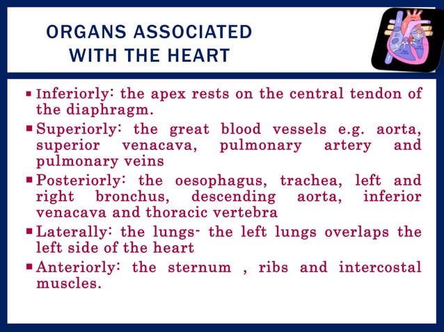 ANATOMY AND PHYSIOLOGY OF HEART | PPTX