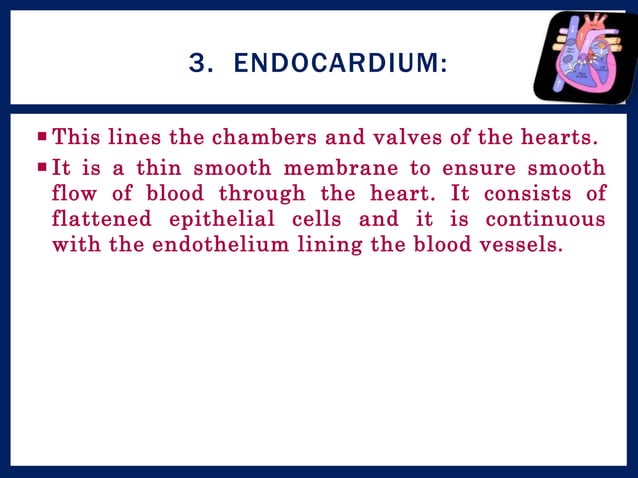 ANATOMY AND PHYSIOLOGY OF HEART | PPTX