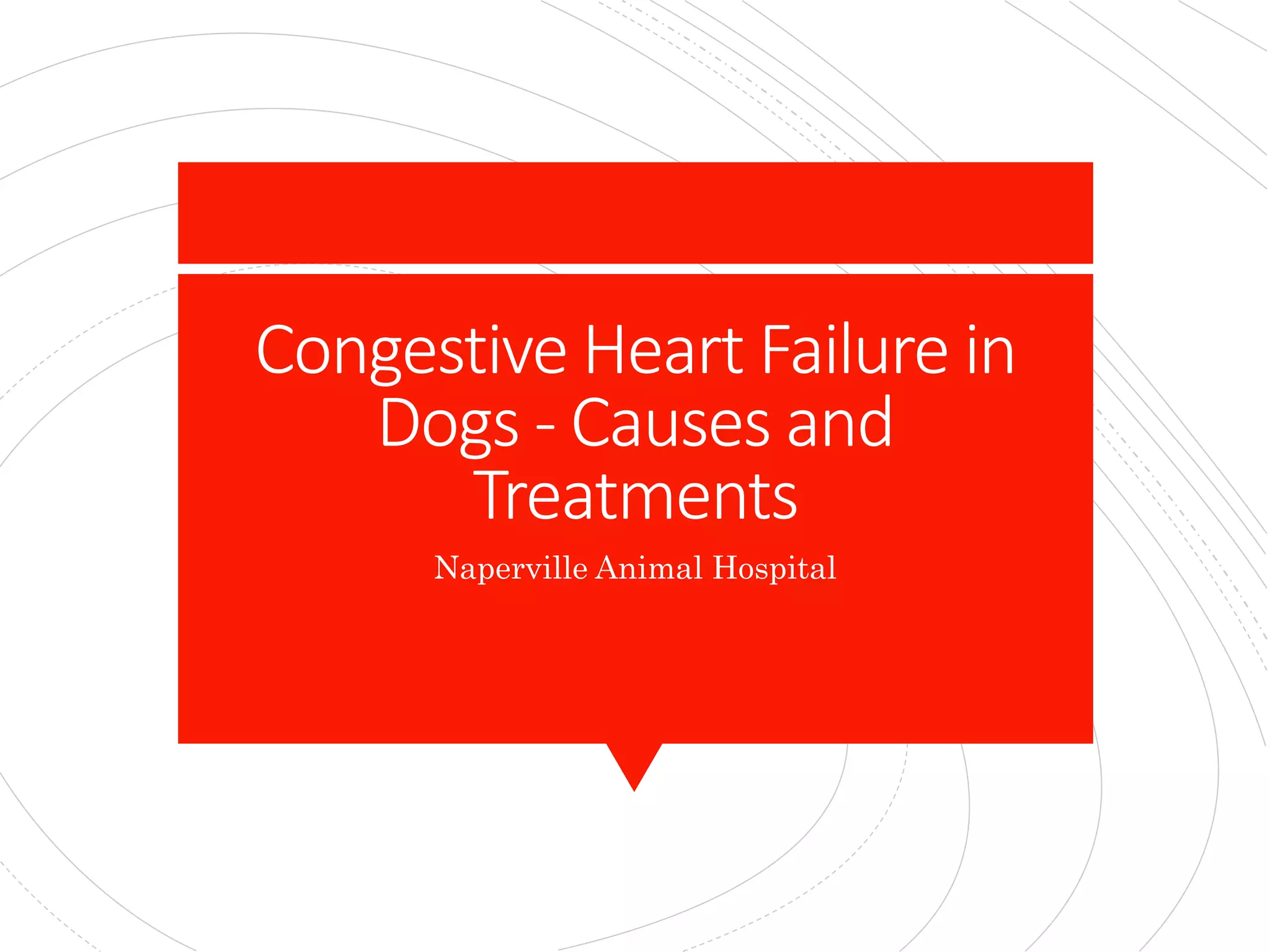 Congestive Heart Failure in Dogs - Causes and Treatments | PPTX