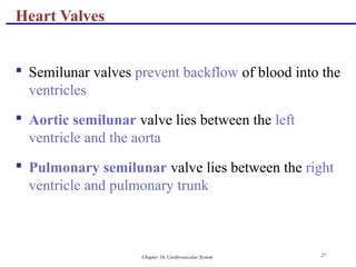 Heart Anatomy | PPT