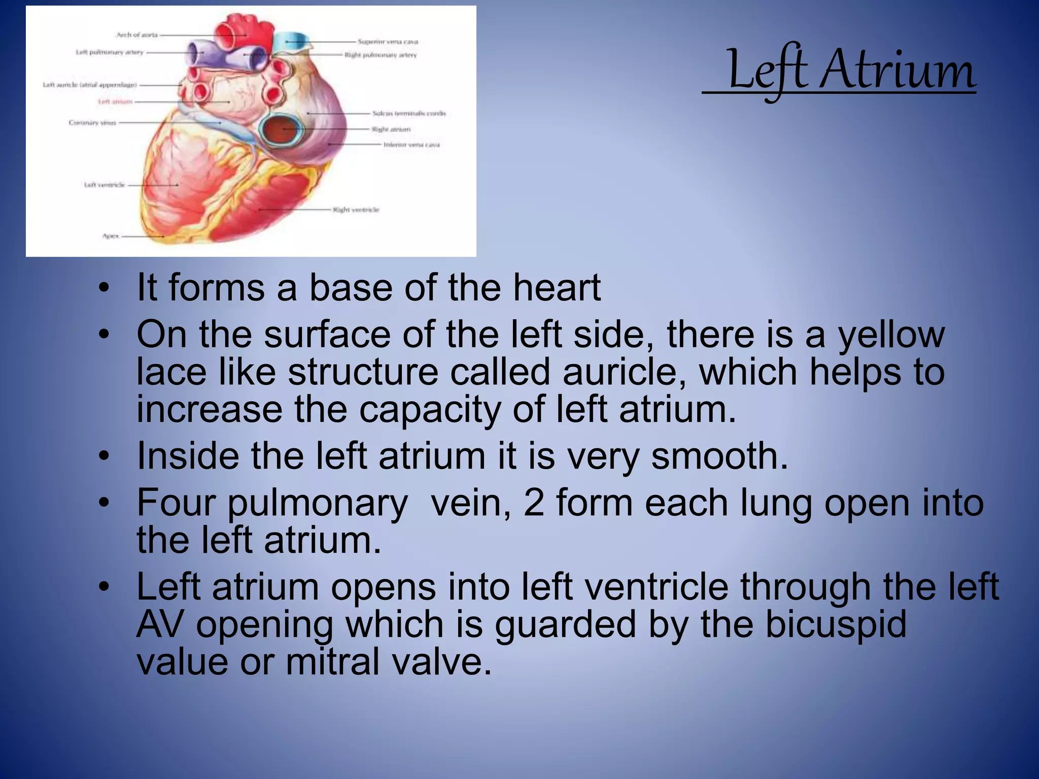 Anatomy and physiology of heart | PPTX