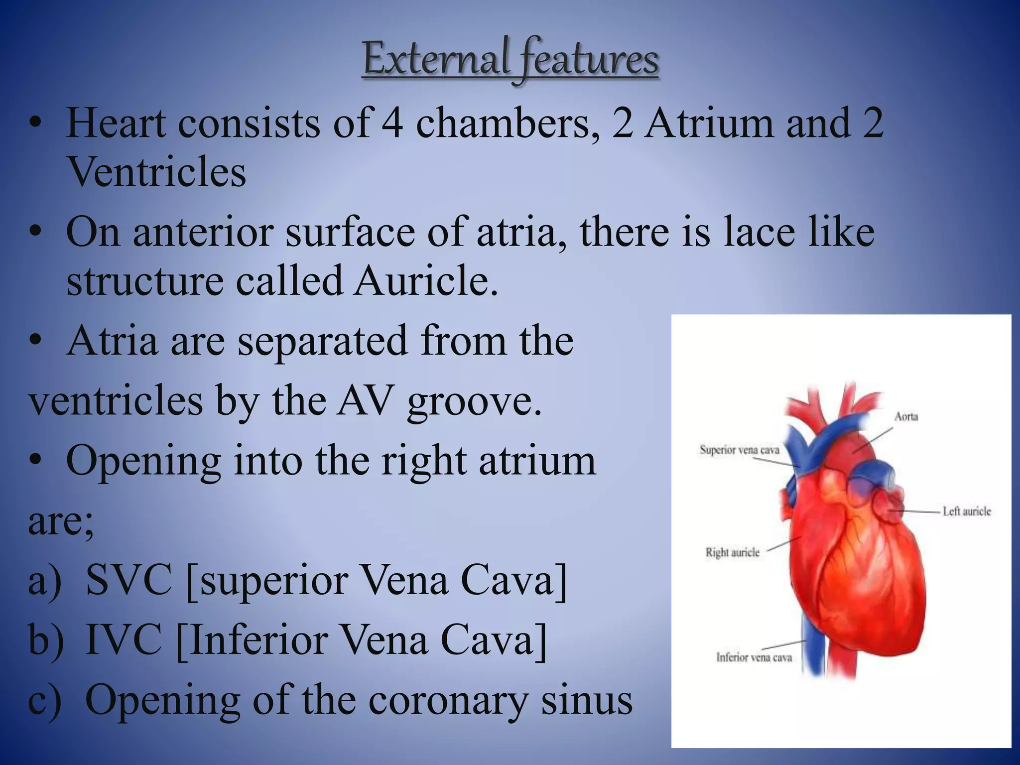 Anatomy and physiology of heart | PPTX