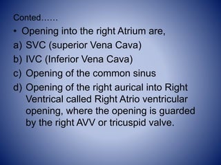 Anatomy and physiology of heart | PPTX