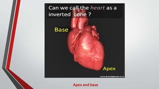 Heart | PPT