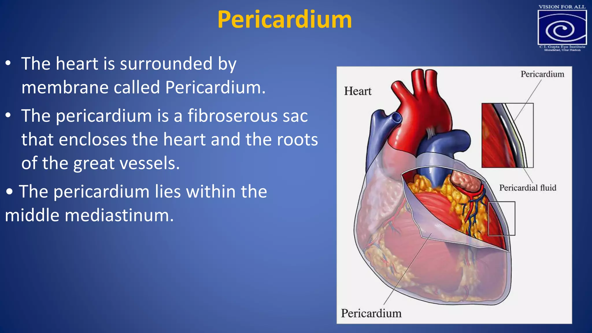Heart | PPTX