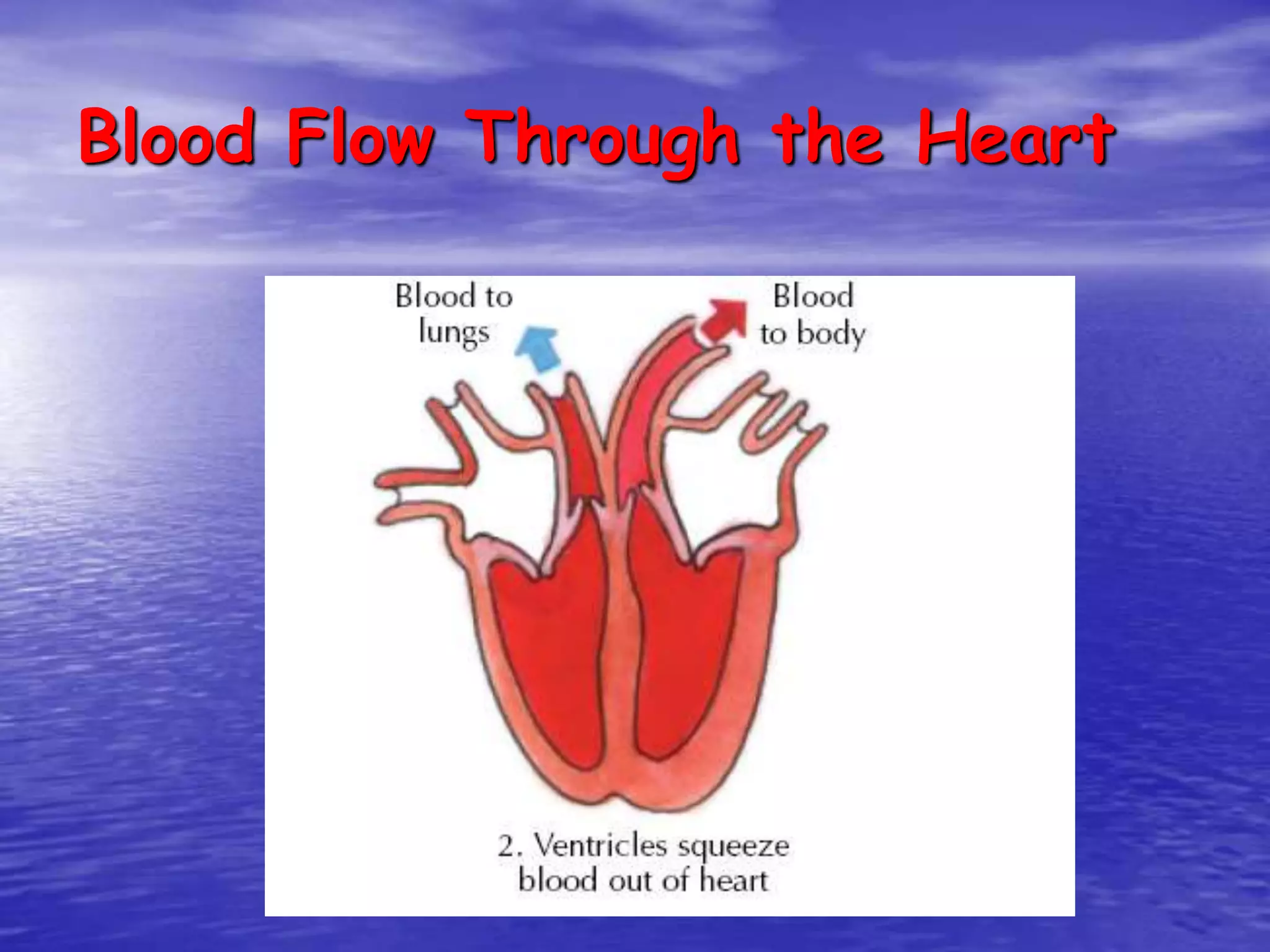 Heart.ppt