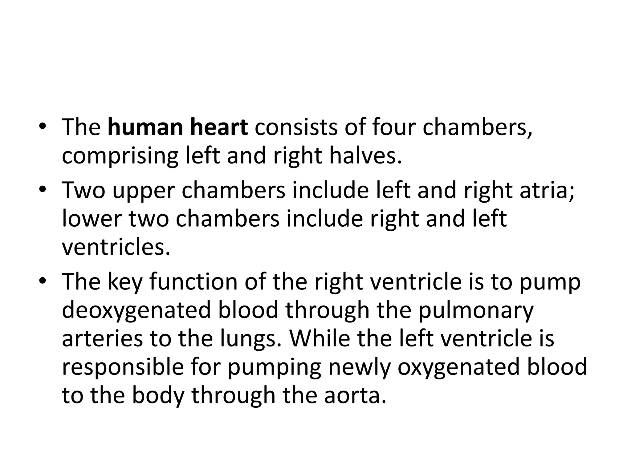 heart physiology -conduction system nursing | PPTX