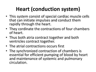 heart physiology -conduction system nursing | PPTX
