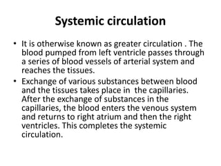 heart physiology -conduction system nursing | PPTX