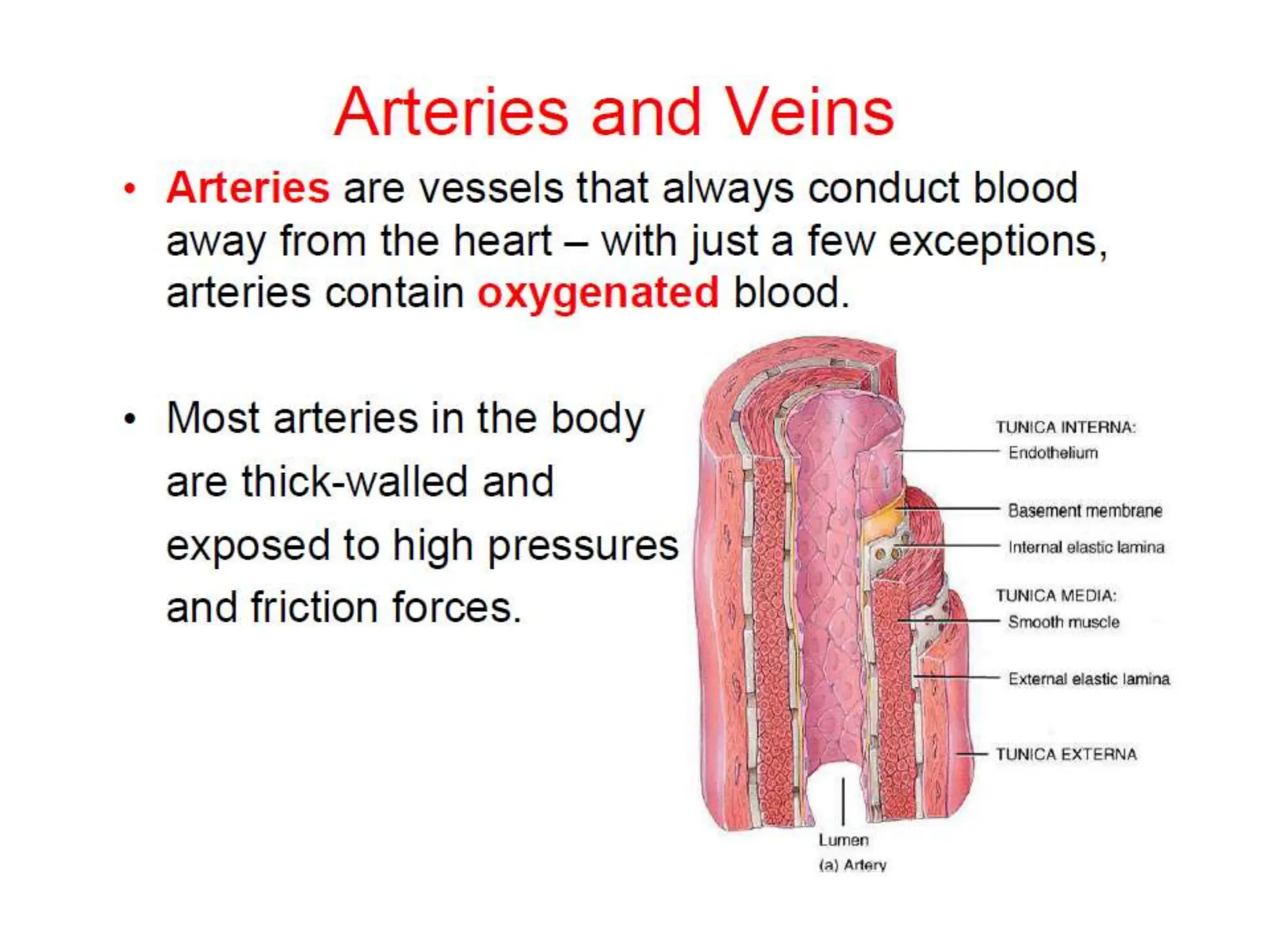 anatomy and physiology of Heart and its ECG | PPTX