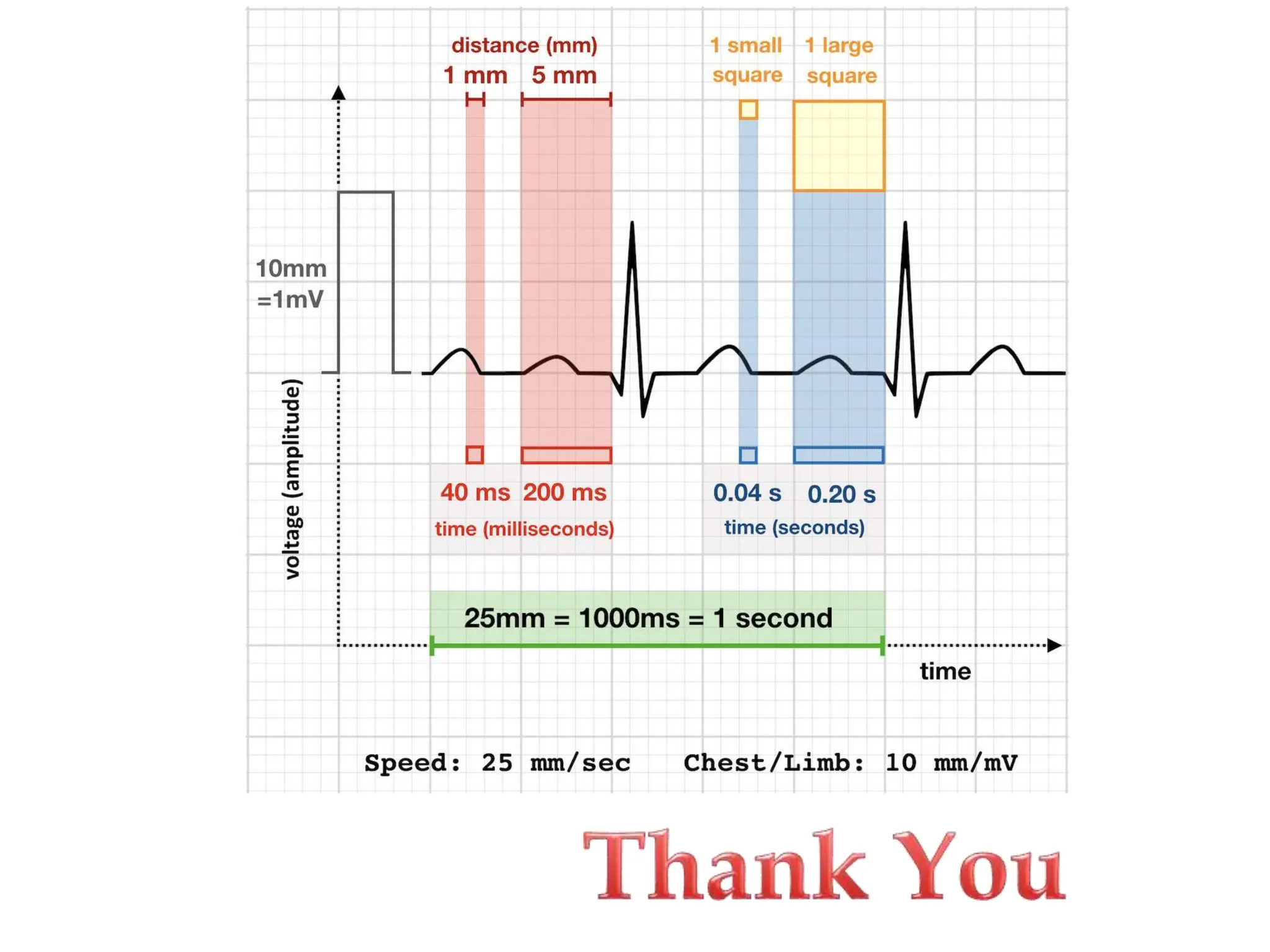 anatomy and physiology of Heart and its ECG | PPTX