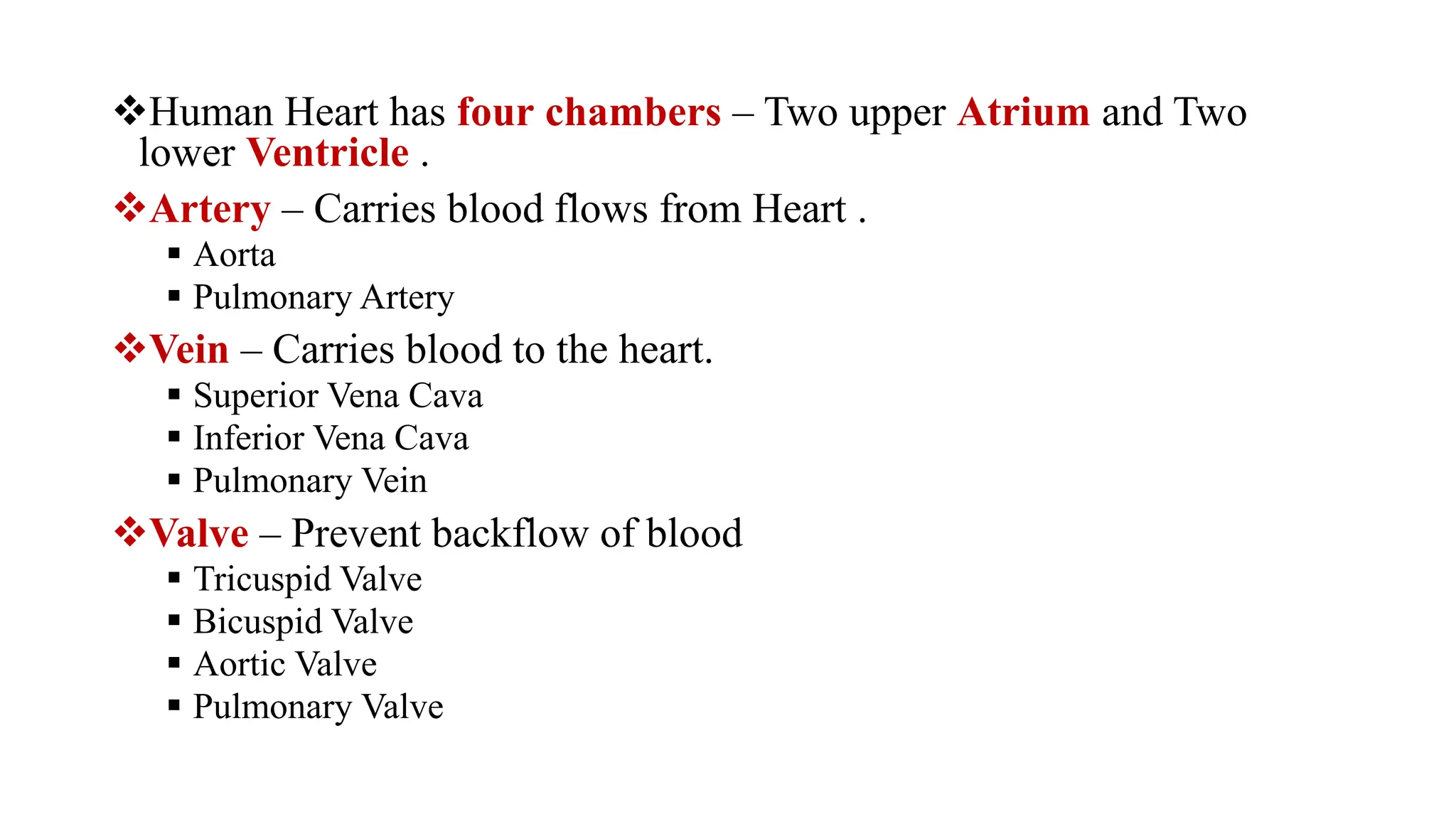 HEART Structure of Human Heart Natural Science | PPTX
