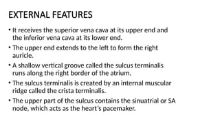 Heart presentation by Dr Ela kinra………….. | PPT