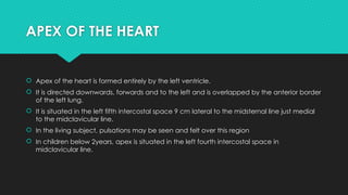 ANATOMY OF HEART for medical students with its clinical anatomy | PPTX