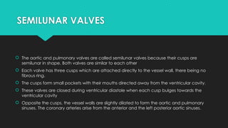 ANATOMY OF HEART for medical students with its clinical anatomy | PPTX