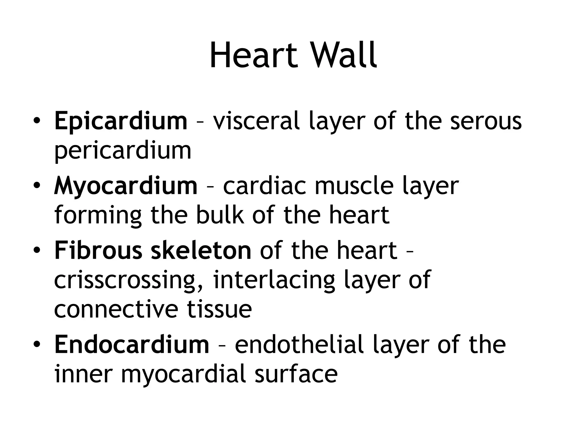 Heart GENERAL ANATOMY - THORAX PART 2.pdf