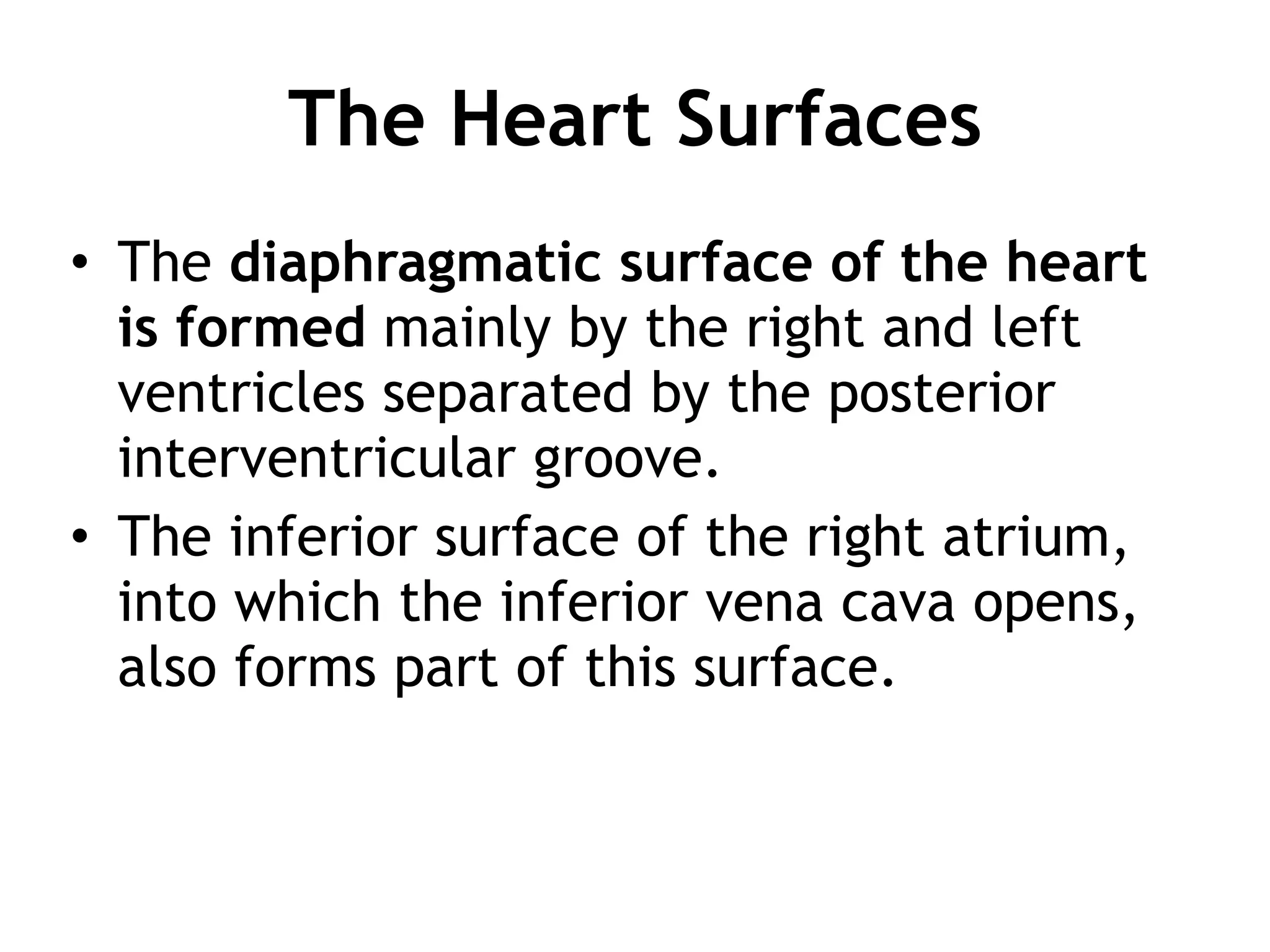 Heart GENERAL ANATOMY - THORAX PART 2.pdf