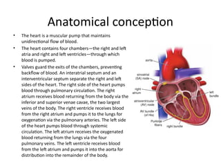 HEART.pptx histology heart histology histology | PPTX