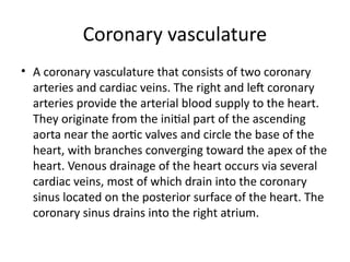 HEART pptx Histology Heart Histology Histology PPTX heart-pptx-histology-heart-histology-histology-pptx