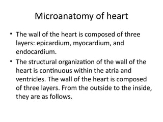 HEART.pptx histology heart histology histology | PPTX