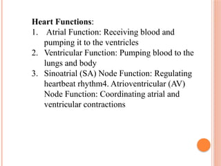 HEART position of heart & functions of the heart | PPT