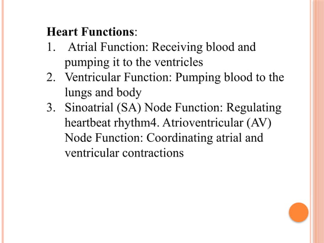 HEART position of heart & functions of the heart | PPT