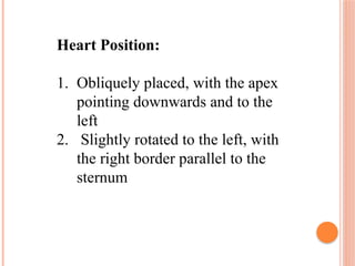 HEART position of heart & functions of the heart | PPT