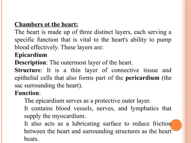 HEART position of heart & functions of the heart | PPT