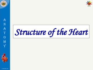 Heart anatomy of the veterinary animals ppt | PPT