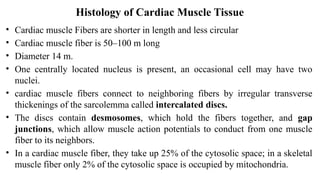 The Cardiovascular System !! The Heart !! Anatomy & Physiology ...