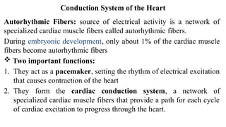 The Cardiovascular System !! The Heart !! Anatomy & Physiology ...