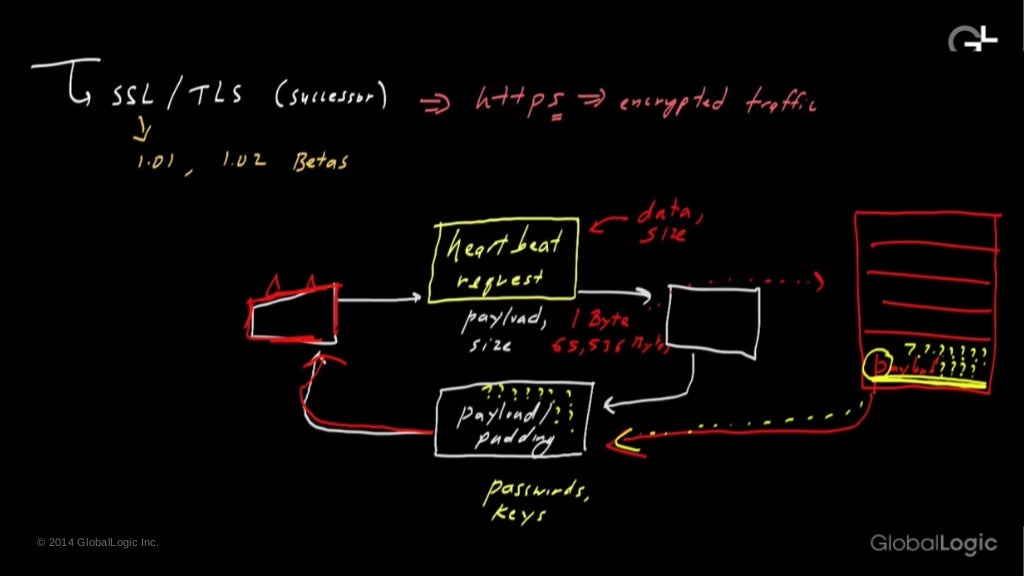 Security Vulnerabilities: Heartbleed & Buffer Overflow.