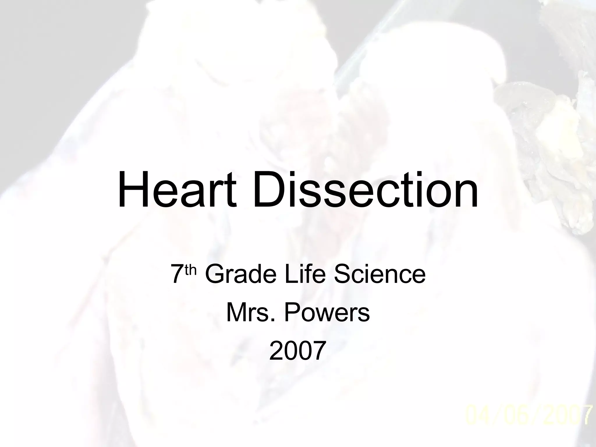 Heart Dissection | PPT