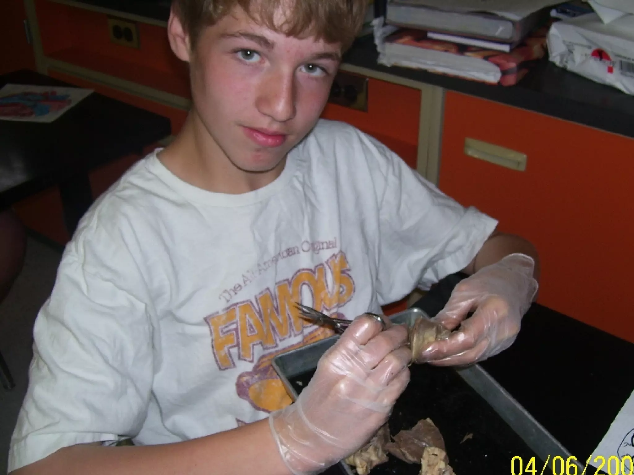 Heart Dissection | PPT