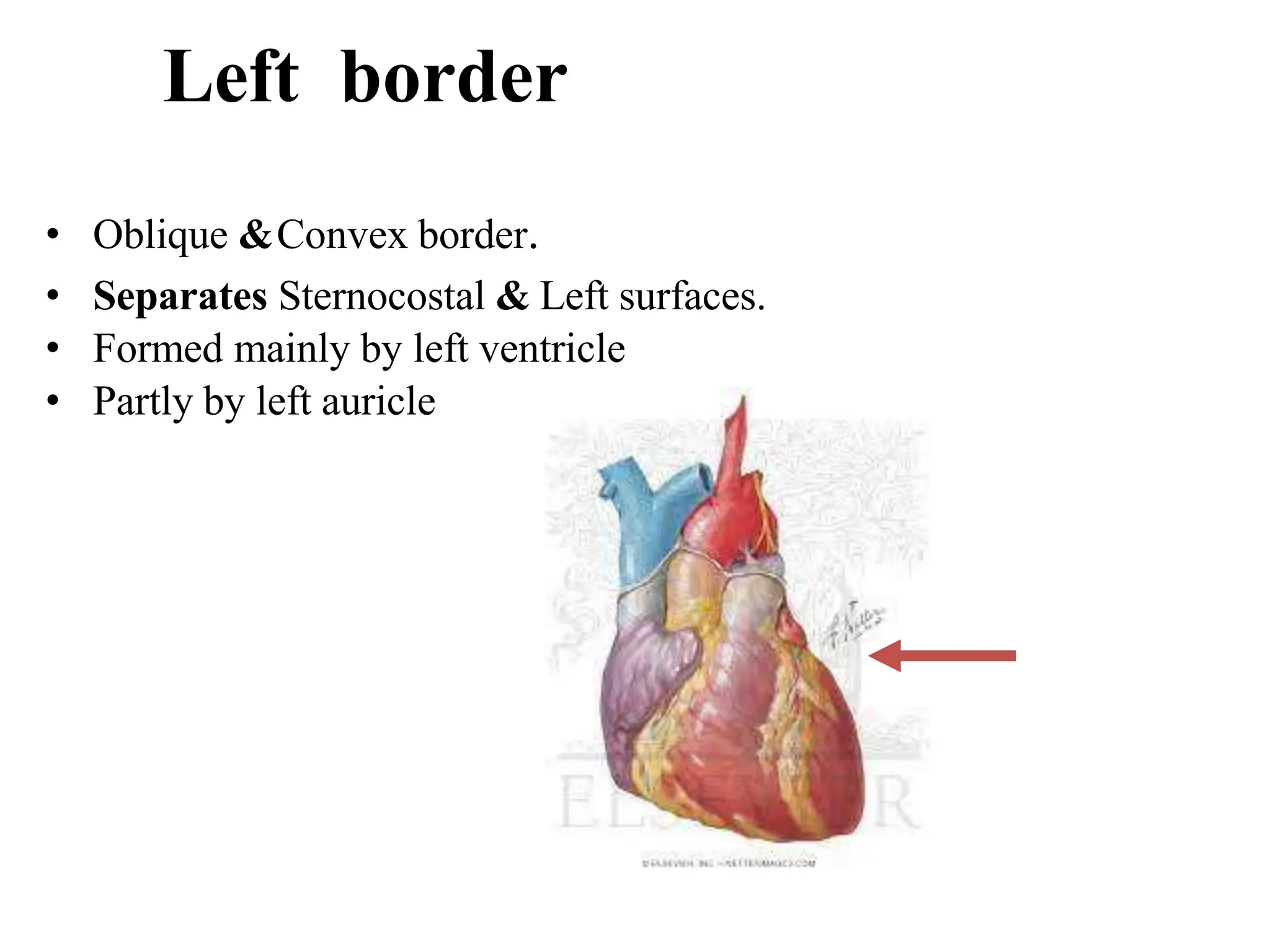 Heart - External Features , Chambers copy.pptx | Heart and ...