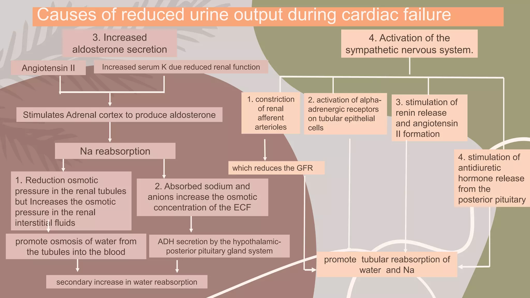Heart-Failure.pptx