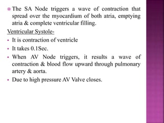 HEART CARDIOVASCULAR SYSTEM BPHARM 1ST YEAR 1.pptx