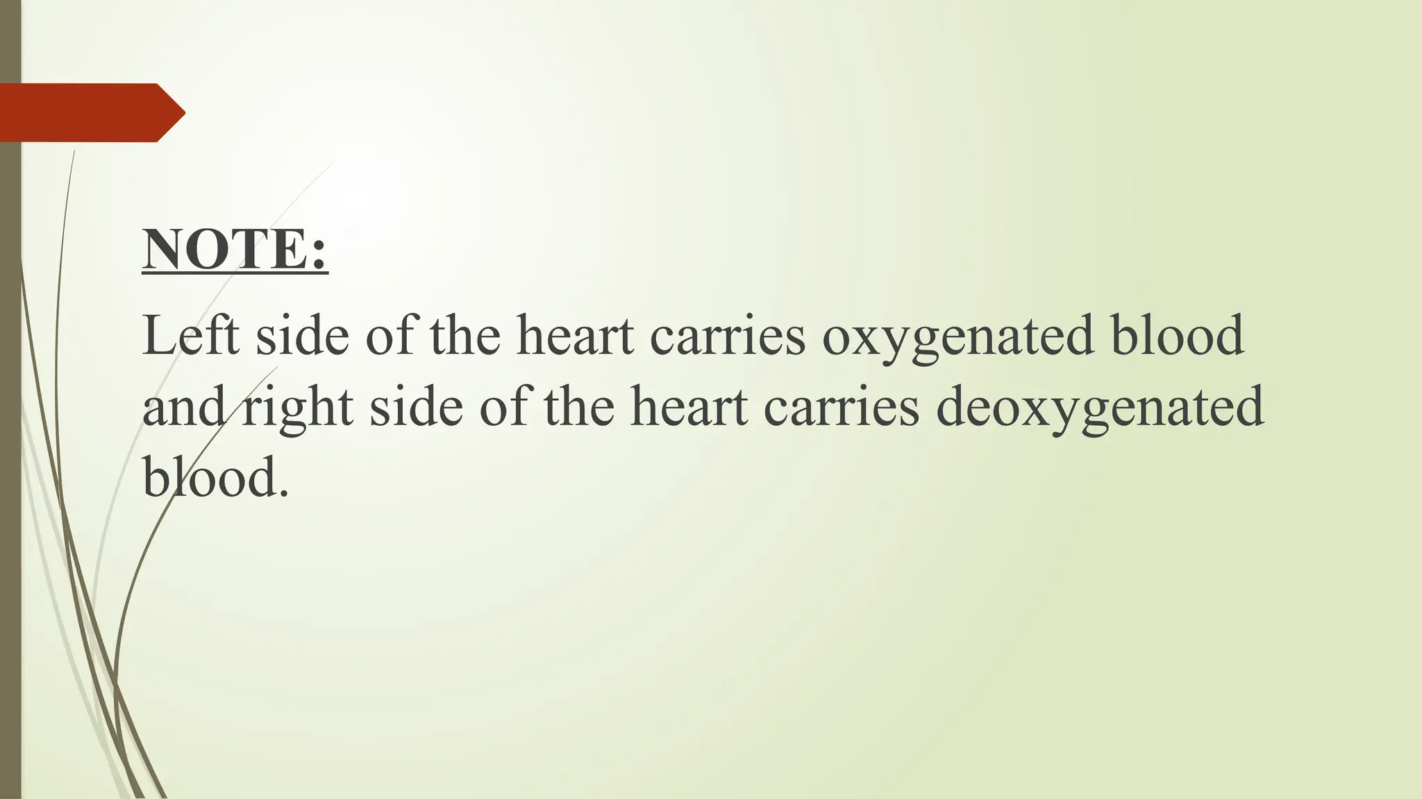 HEART PPT PRESENTATION NATURAL SCIENCE OPTIONAL | PPT