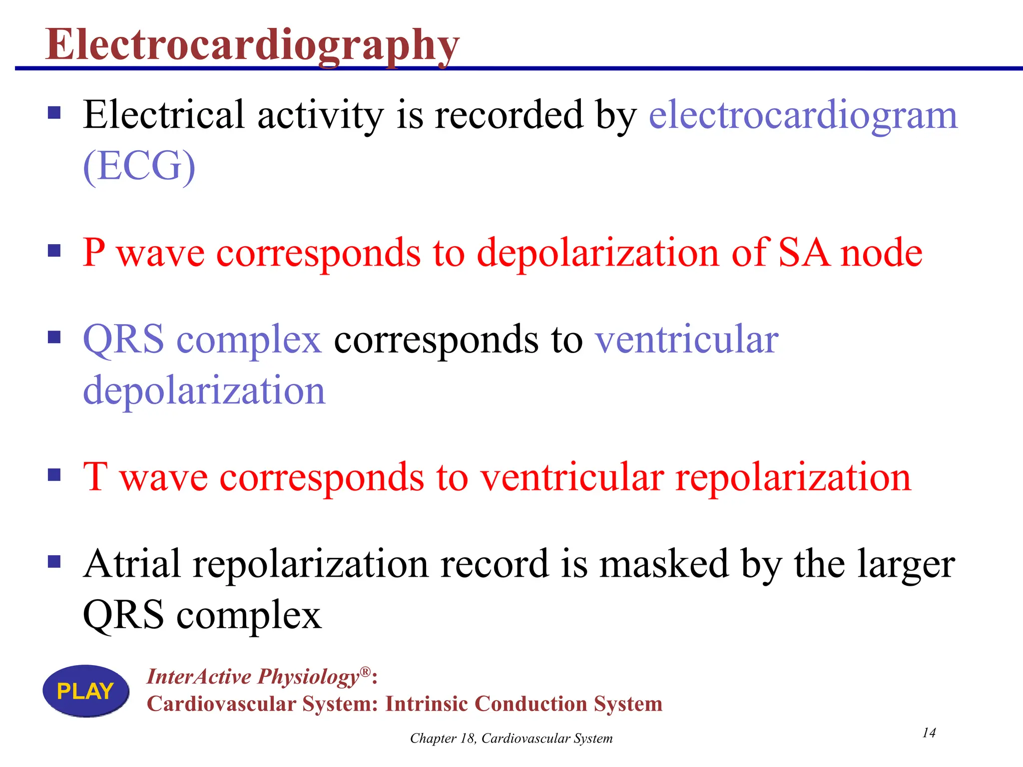 heart2 physiology of cardiovascular system | PPTX