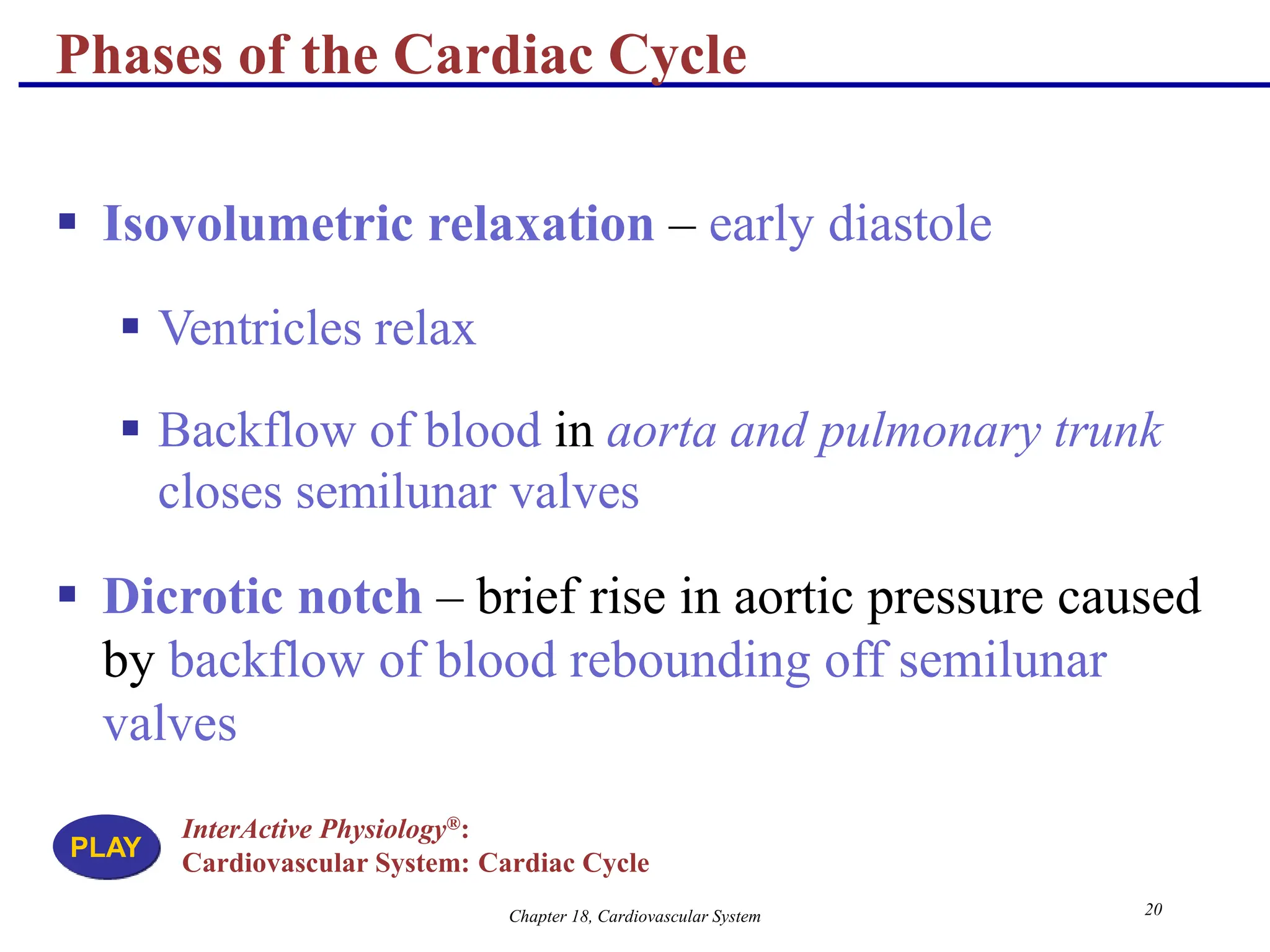 heart2 physiology of cardiovascular system | PPTX