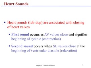 heart2 physiology of cardiovascular system | PPTX